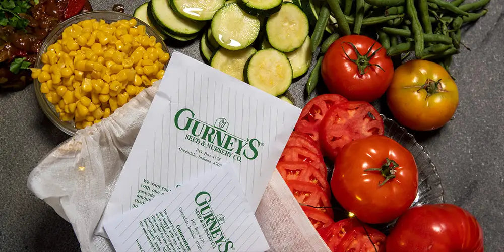 How to Store Seeds | Gurney’s Seed and Nursery Co.