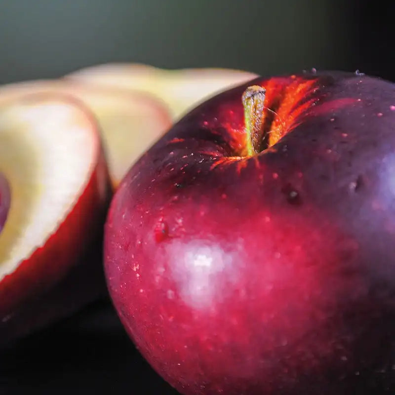 Arkansas Black Apple Tree's for Sale | Gurney's Seed & Nursery Co.