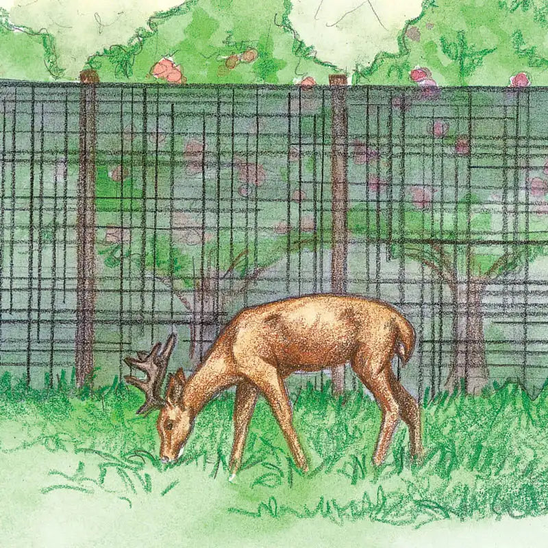Deer Stop Garden Netting | Gurney's Seed & Nursery Co.