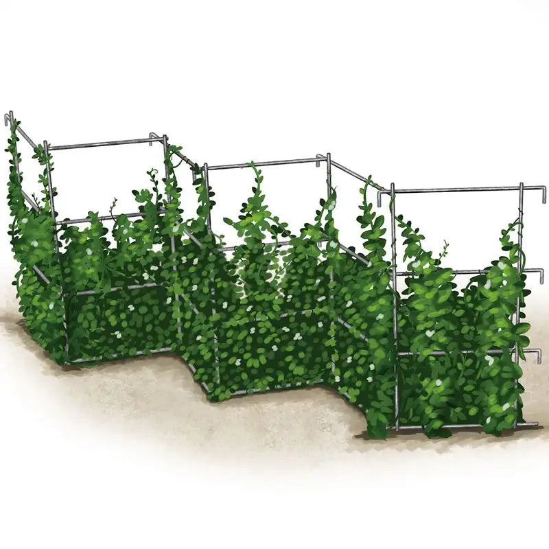 Pea Fence | Gardening Supplies and Supports from Gurney's Seed ...