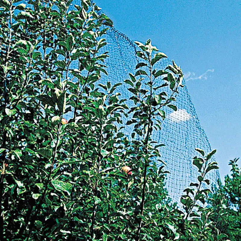 Reusable Garden Netting | Gurney's Seed & Nursery Co.
