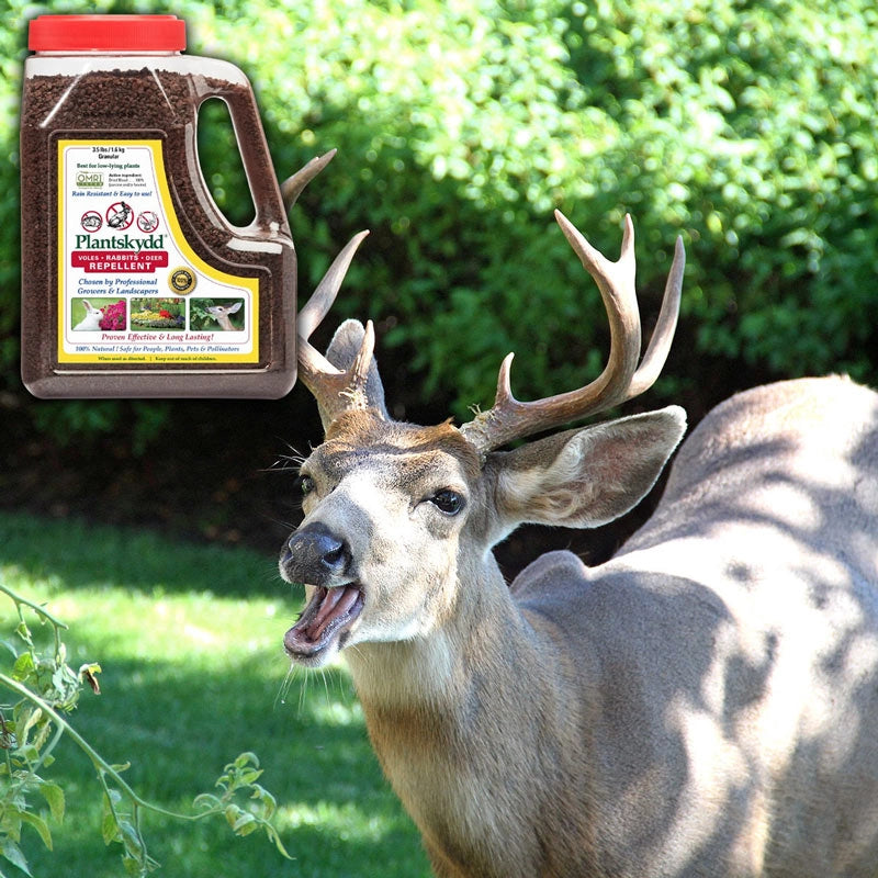 Plantskydd® Deer & Squirrel Repellent | Gurney's Seed & Nursery Co.