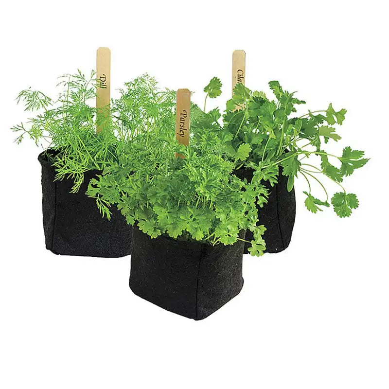 Grow Tub Herb/Transplant Pots | Gurney's Seed & Nursery Co.