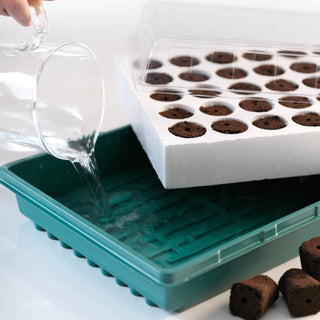 Seed Starting System - Seed Starting Plugs | Gurney's Seed & Nursery Co ...