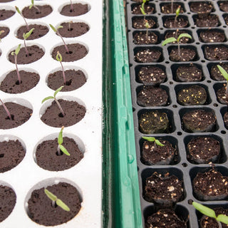 Seed Starting System - Seed Starting Plugs | Gurney's Seed & Nursery Co ...