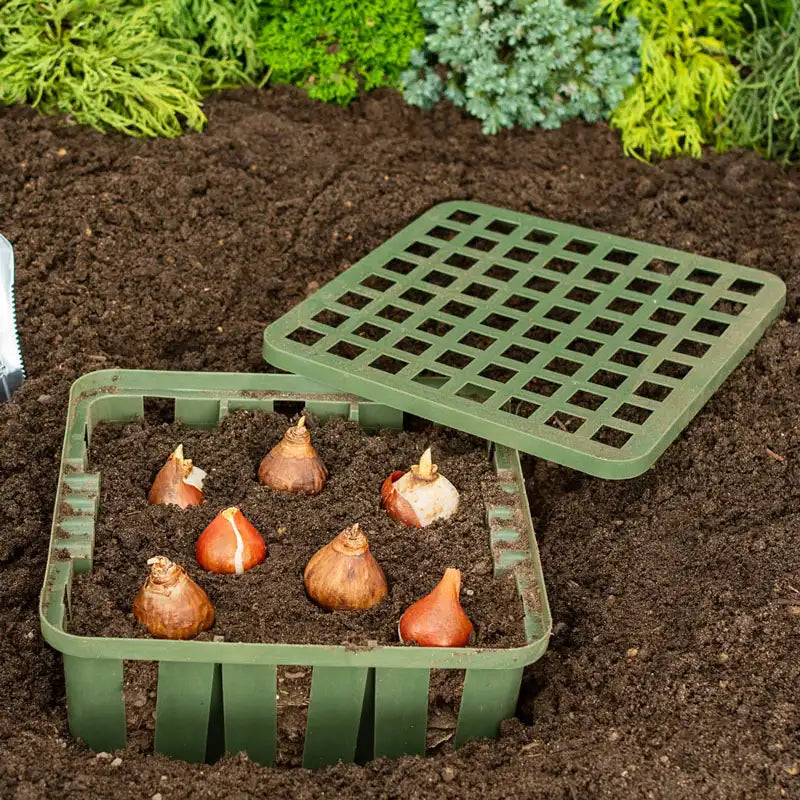 Bulb Basket Kit | Gurney's Seed & Nursery Co.