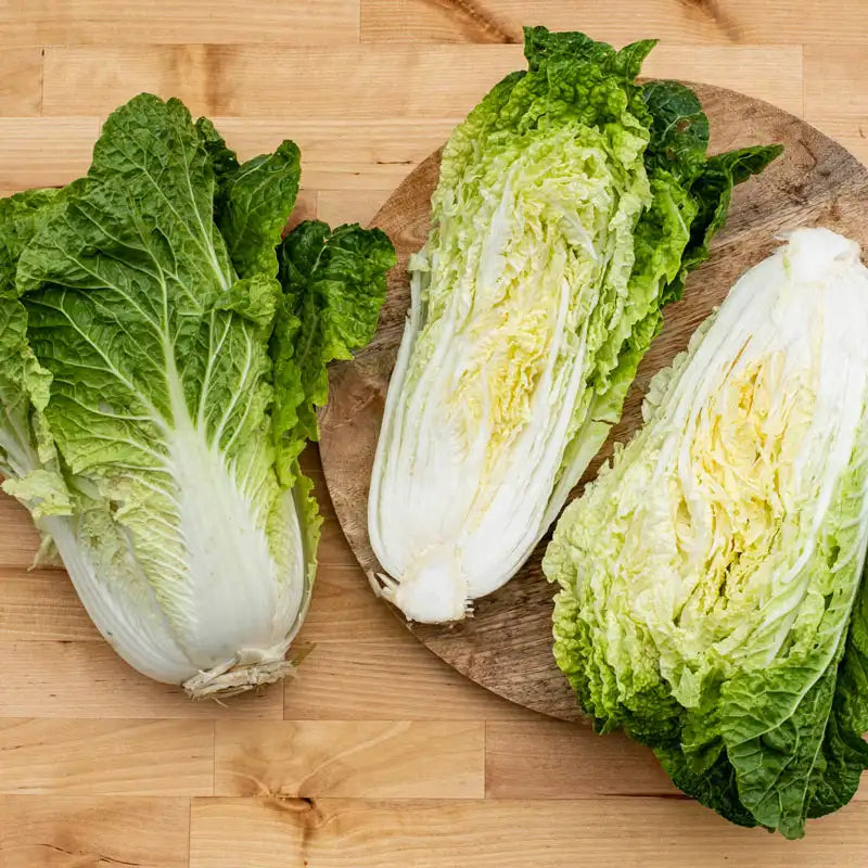 Emiko Hybrid Chinese Cabbage | Seeds from Gurney's Seed & Nursery Co.