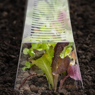 GrowAway Row Covers: Gardening Supplies from Gurney's Seed & Nursery Co ...