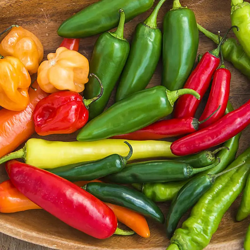 Hot Pepper Mix | Gurney's Seed & Nursery Co.