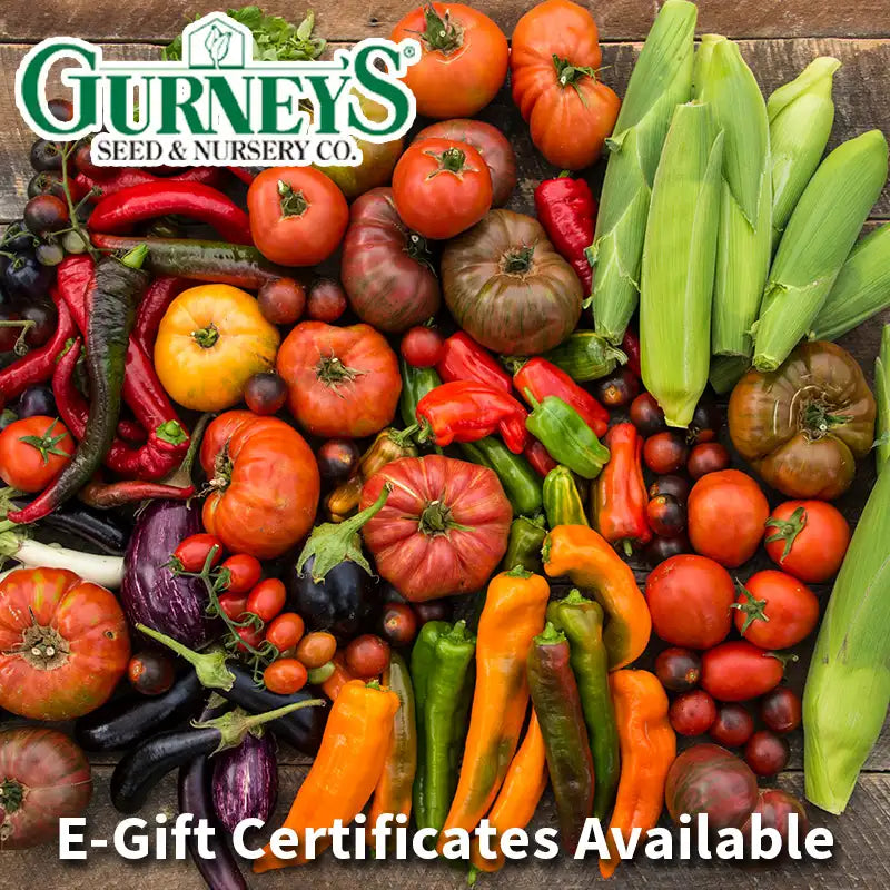 Gurney's e-Gift Certificates - Gurney's Seed & Nursery Co.