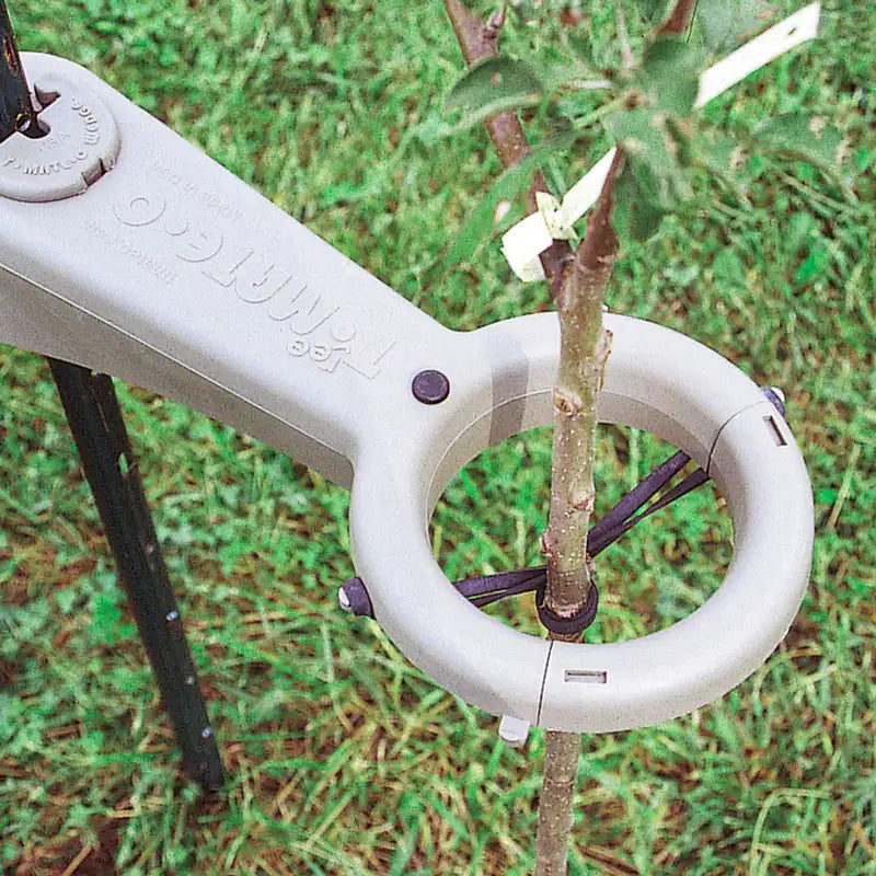Tree Support - Staking System | Gurney's Seed & Nursery Co.