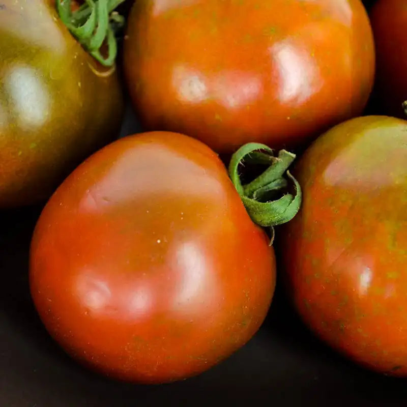 Black Velvet Hybrid Tomato | Gurney's Seed & Nursery Co.