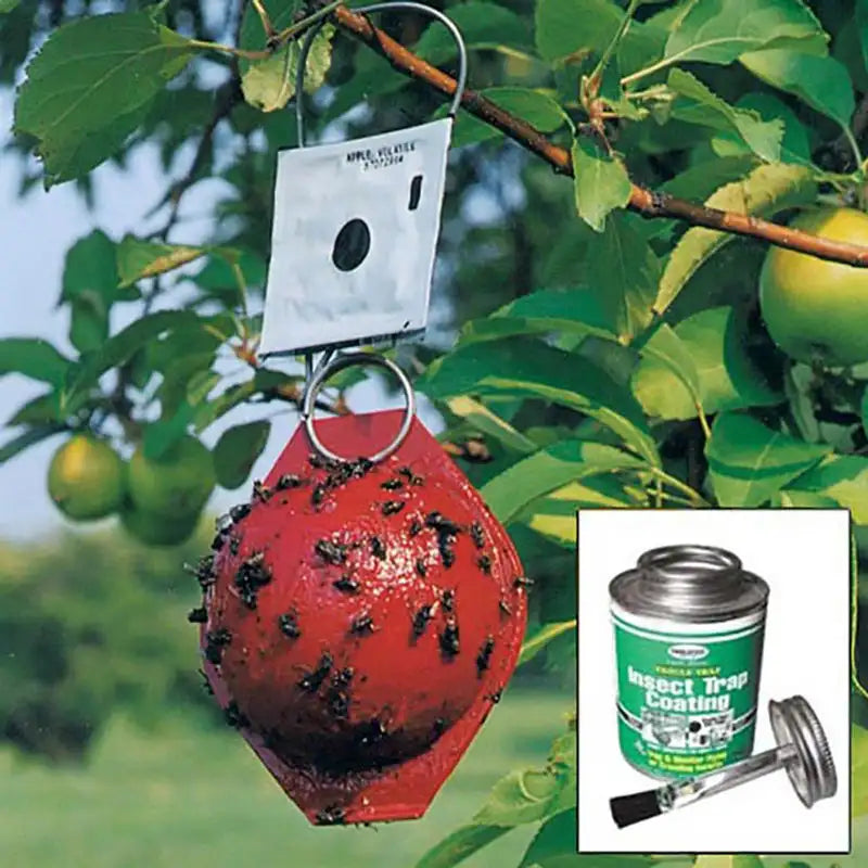 Red Sphere and Tangle -Trap | Gurney's Seed & Nursery Co.