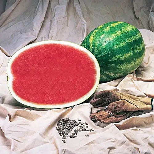 Tri-X 313 Seedless Hybrid Watermelon | Gurney's Seed & Nursery Co.